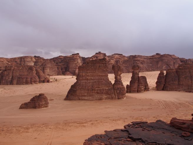 Sharaan Project - PSM